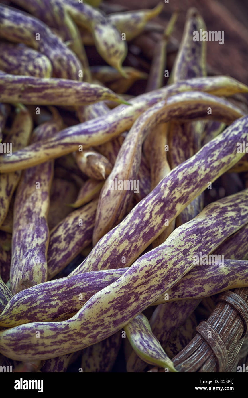 fresh string beans Stock Photo - Alamy