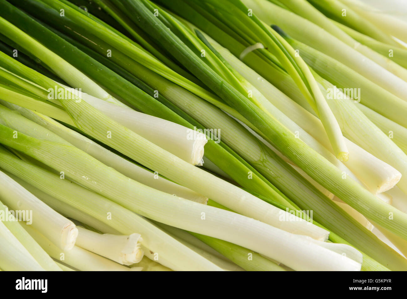 Leaves of onion closeup Stock Photo - Alamy