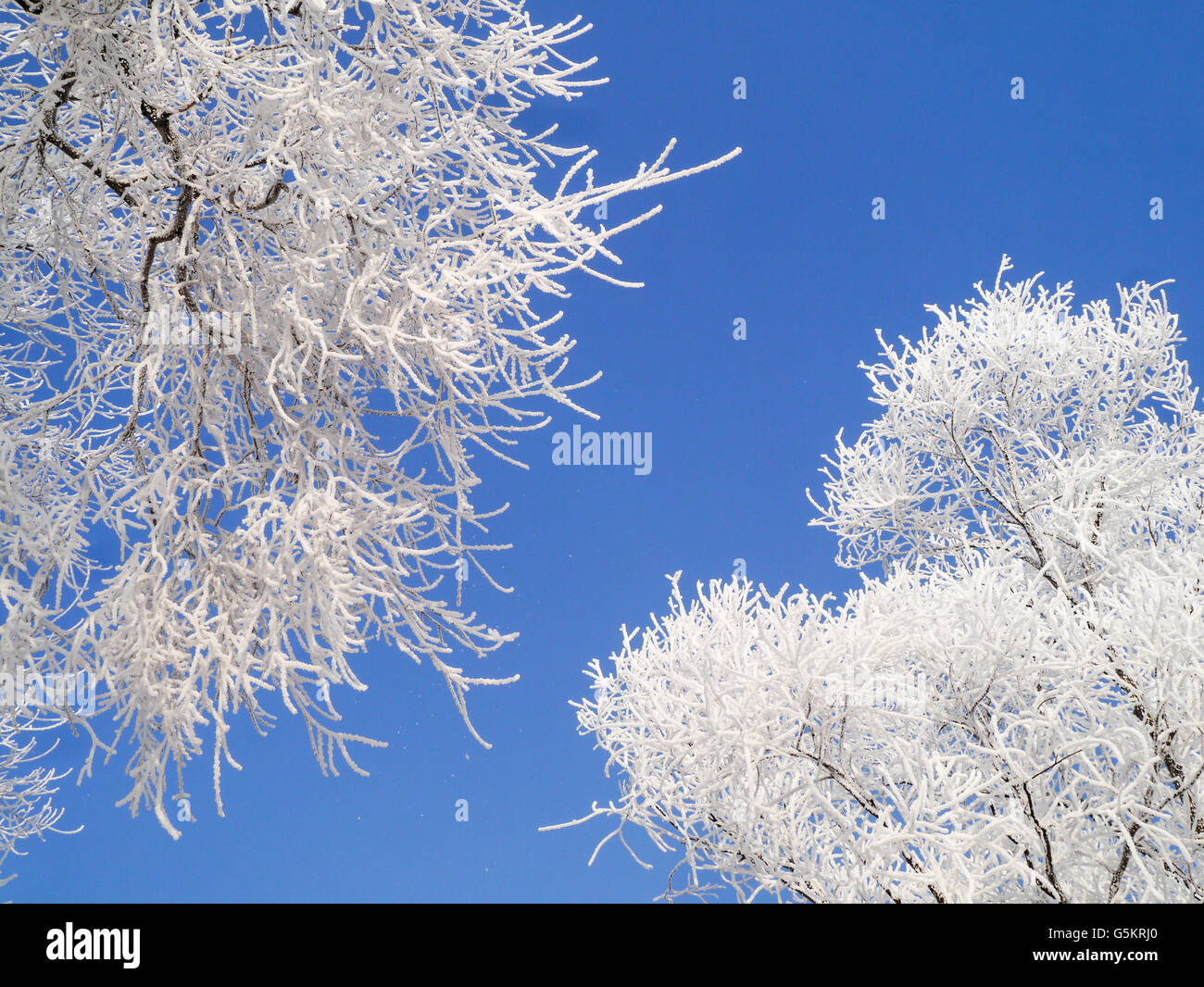 Hard Rime Stock Photos & Hard Rime Stock Images - Alamy