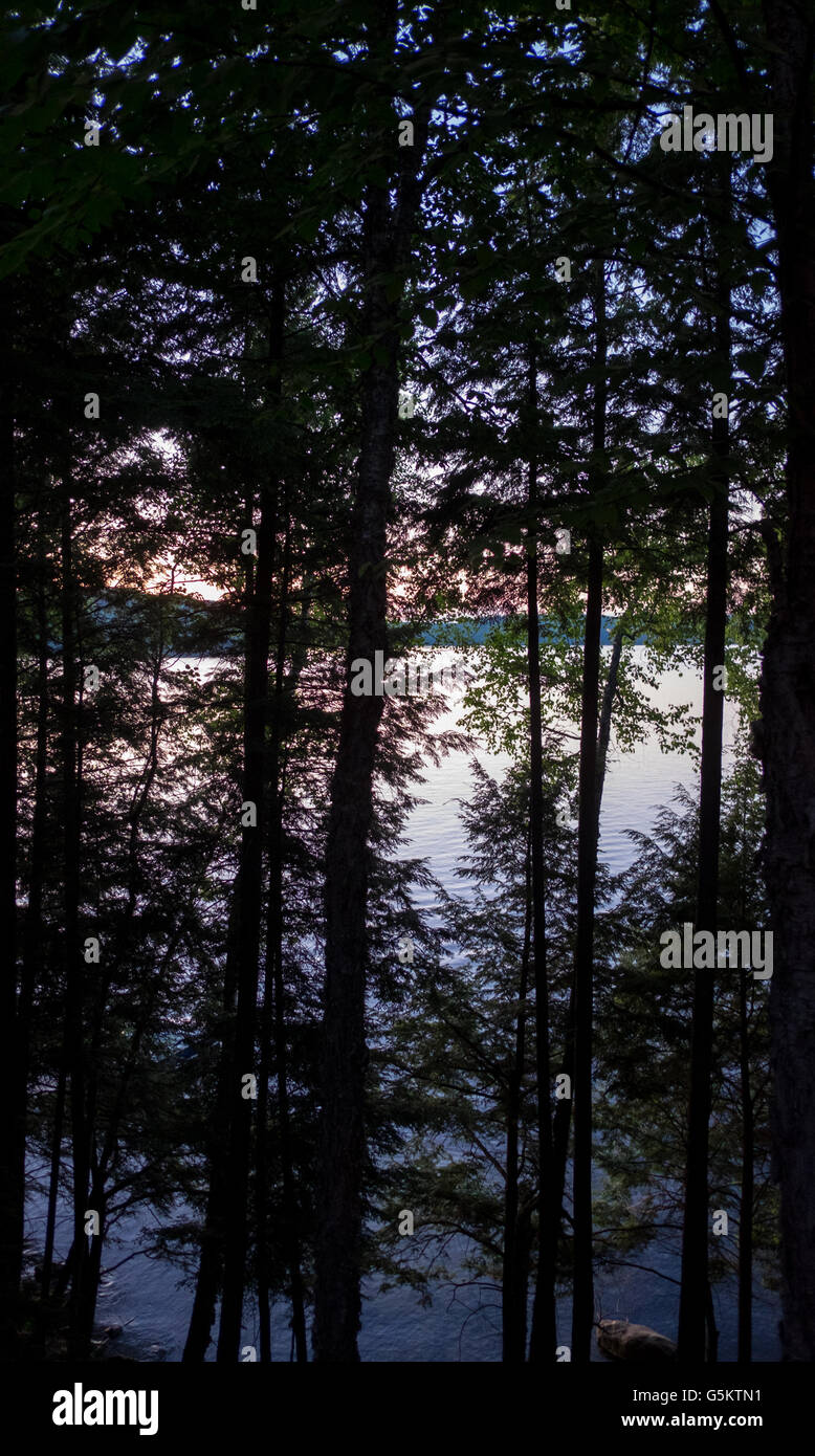 Tress and landscape hi-res stock photography and images - Alamy