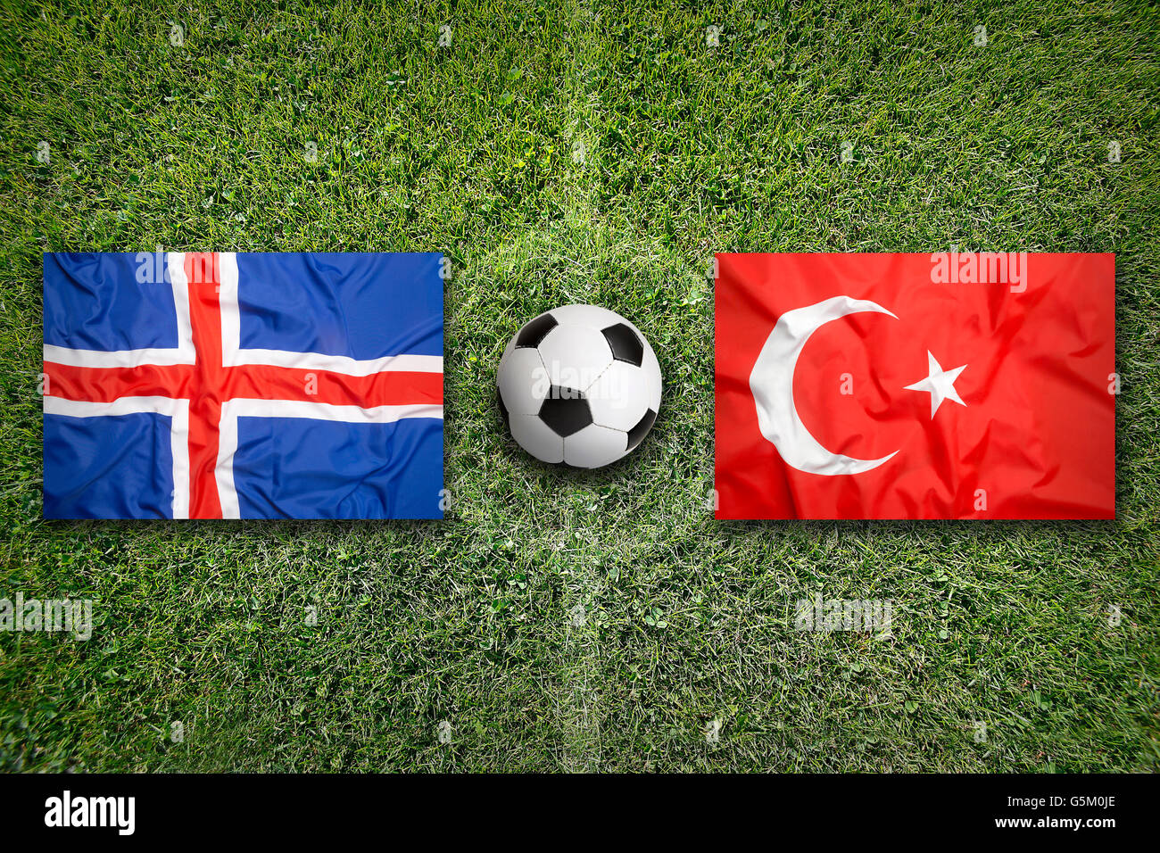 Iceland turkey hi-res stock photography and images - Alamy