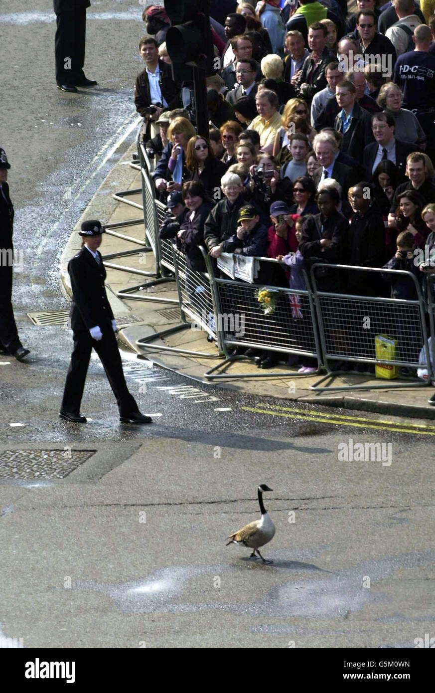 Queen Mother death procession Stock Photo - Alamy