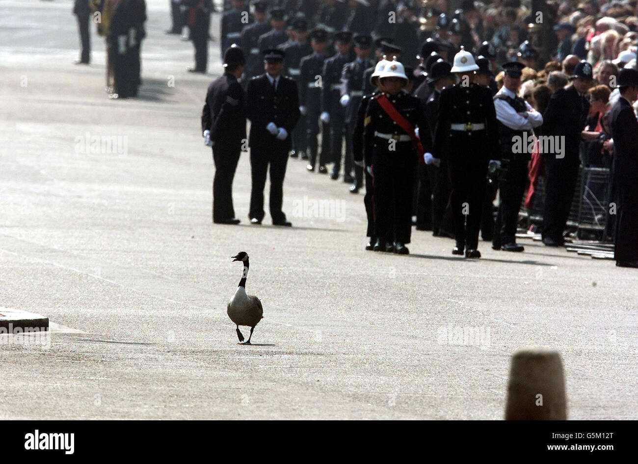 Procession wanders hi-res stock photography and images - Alamy
