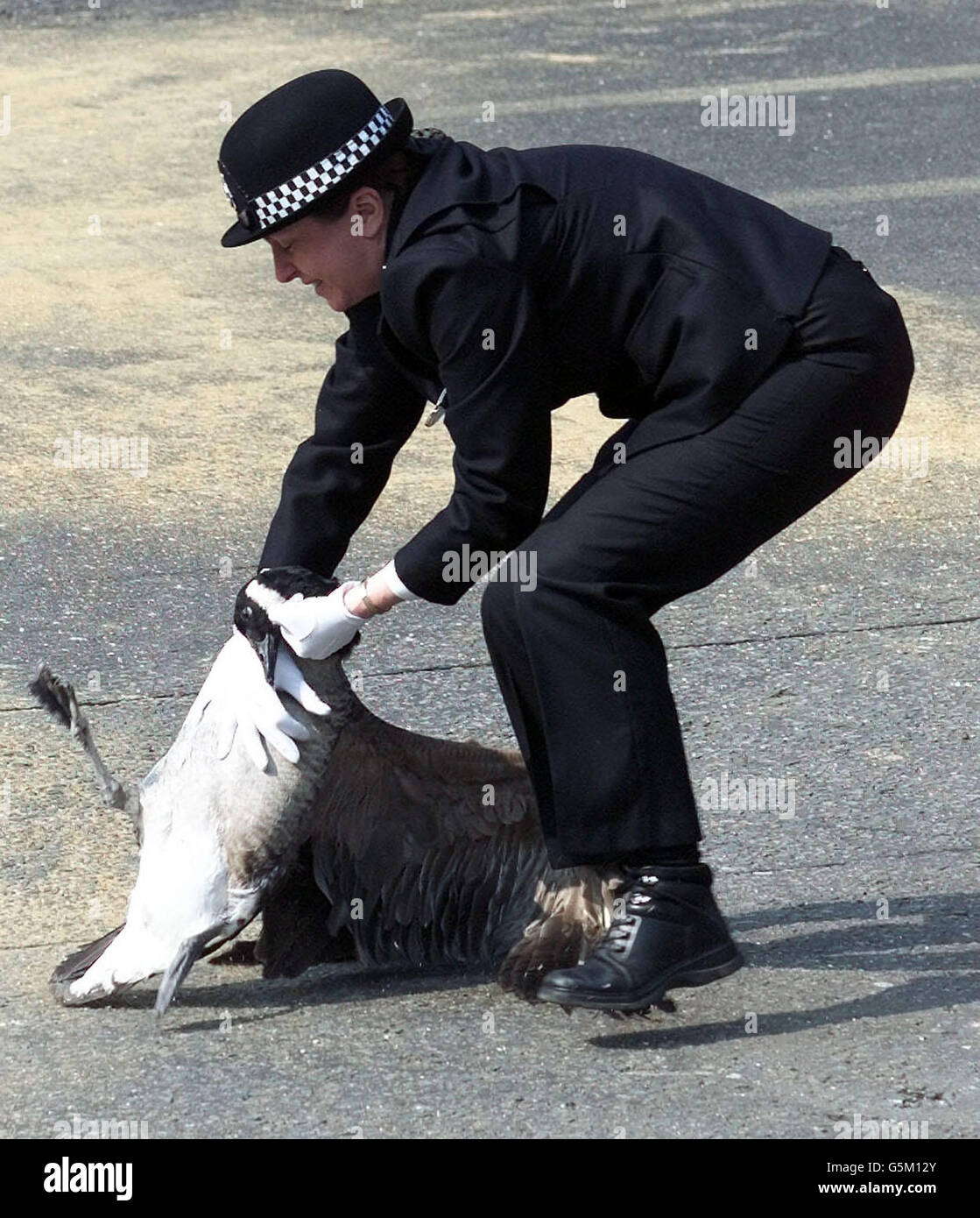 Queen Mother death procession Stock Photo - Alamy