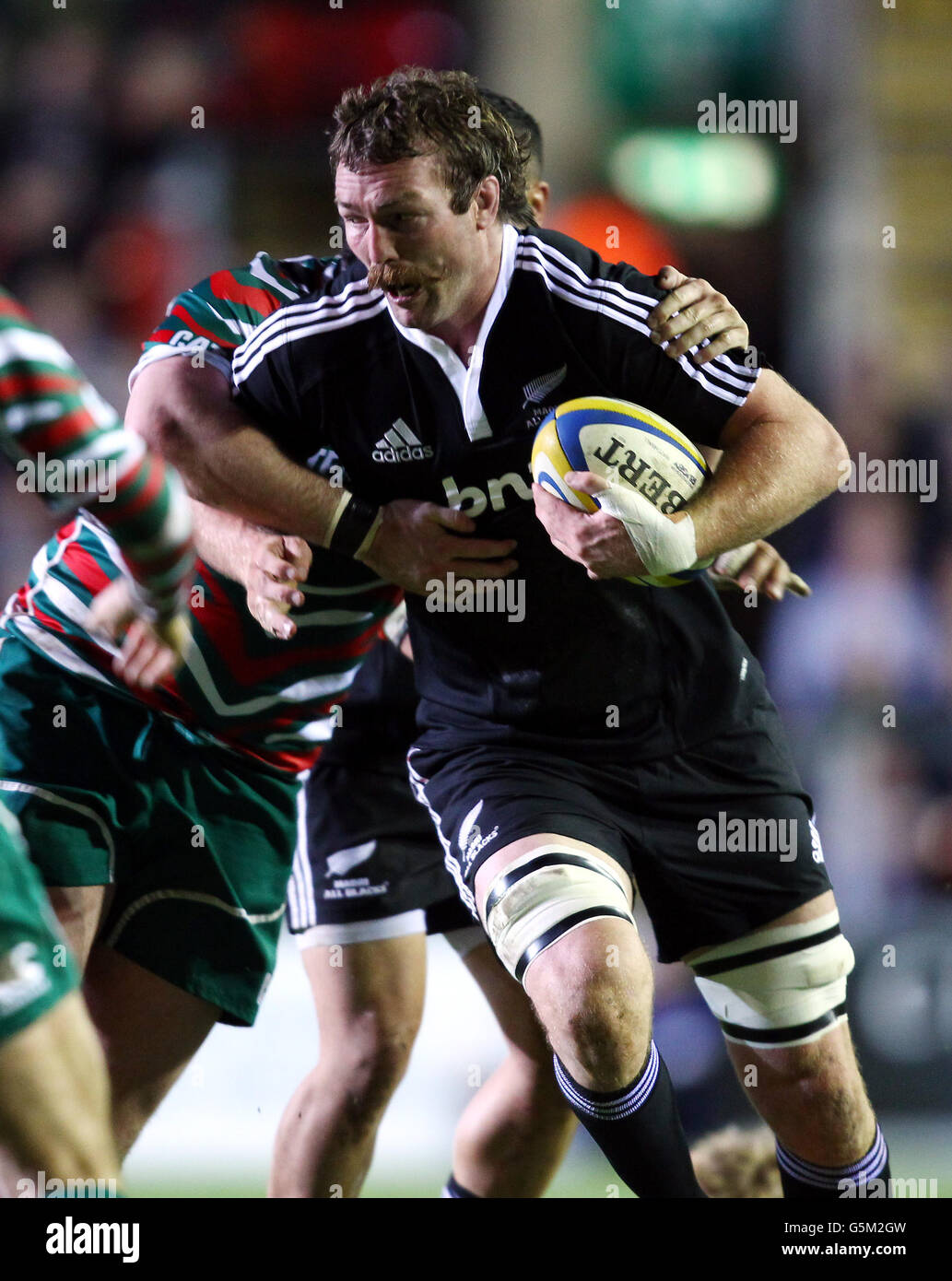 Balmain tigers hi-res stock photography and images - Alamy