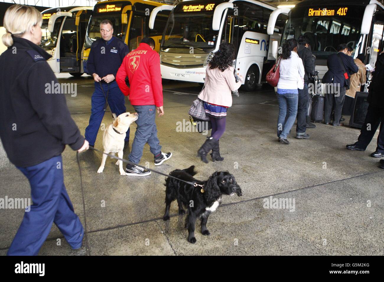 Metropolitan police dogs hi-res stock photography and images - Alamy