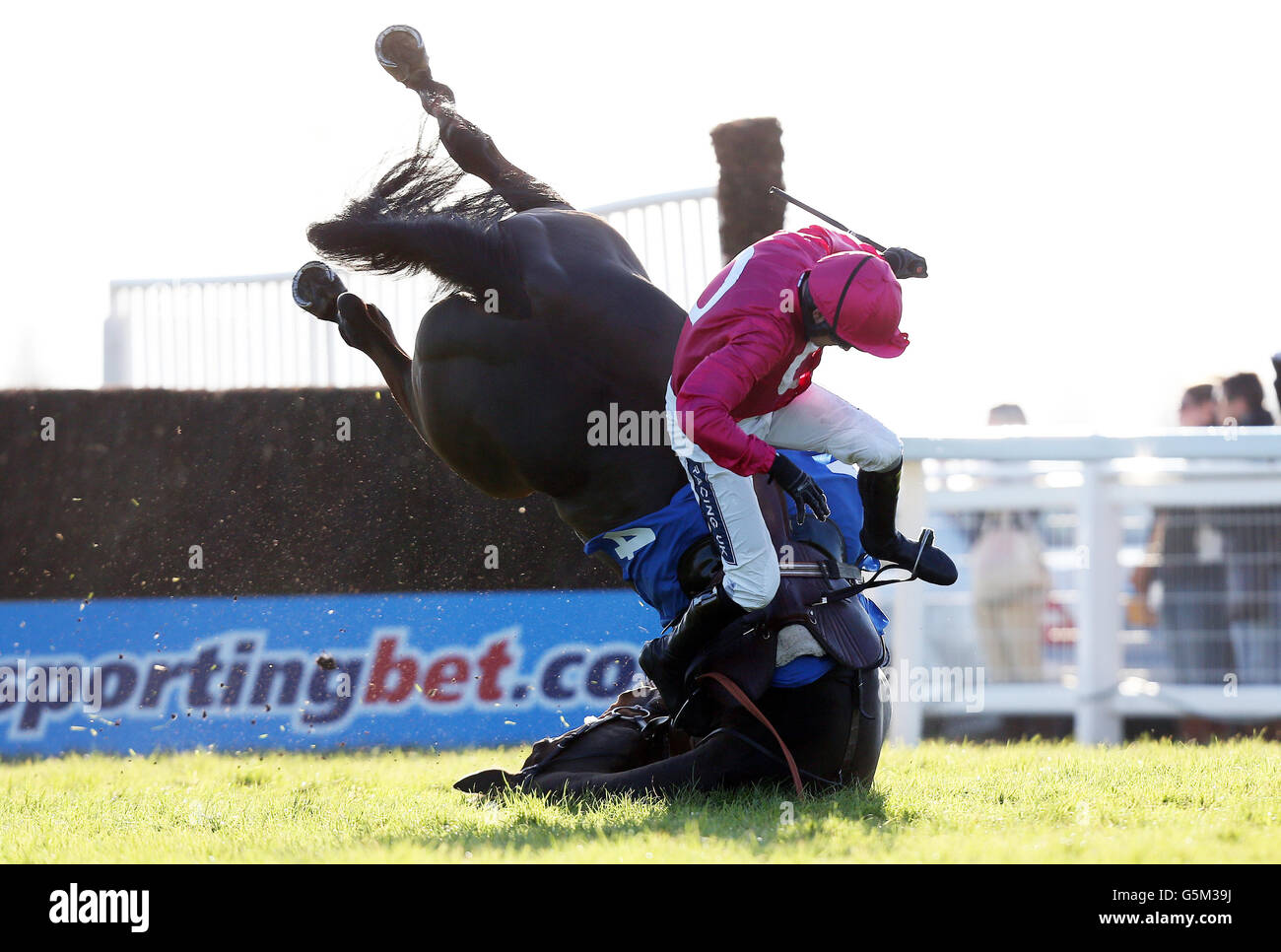 Chase exeter racecourse hi-res stock photography and images - Alamy