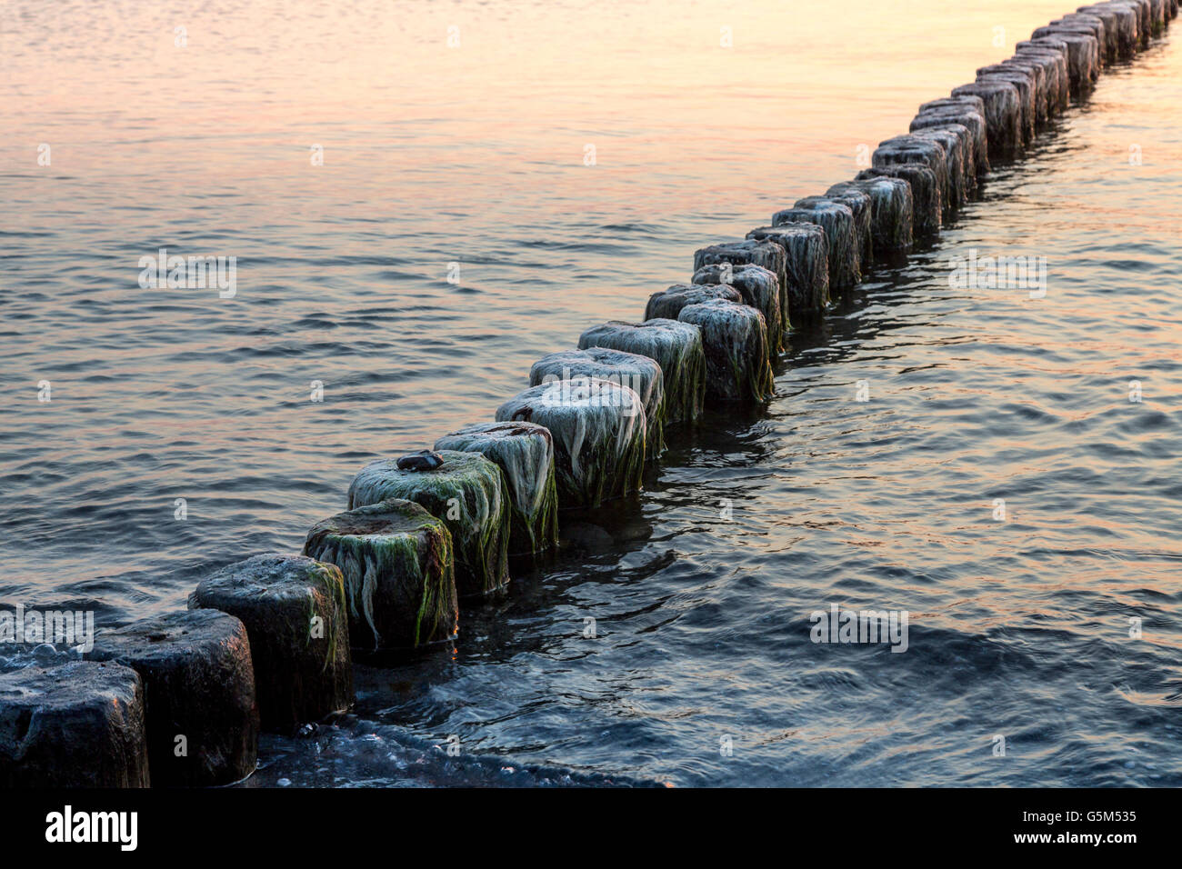 Timber groin hi-res stock photography and images - Alamy