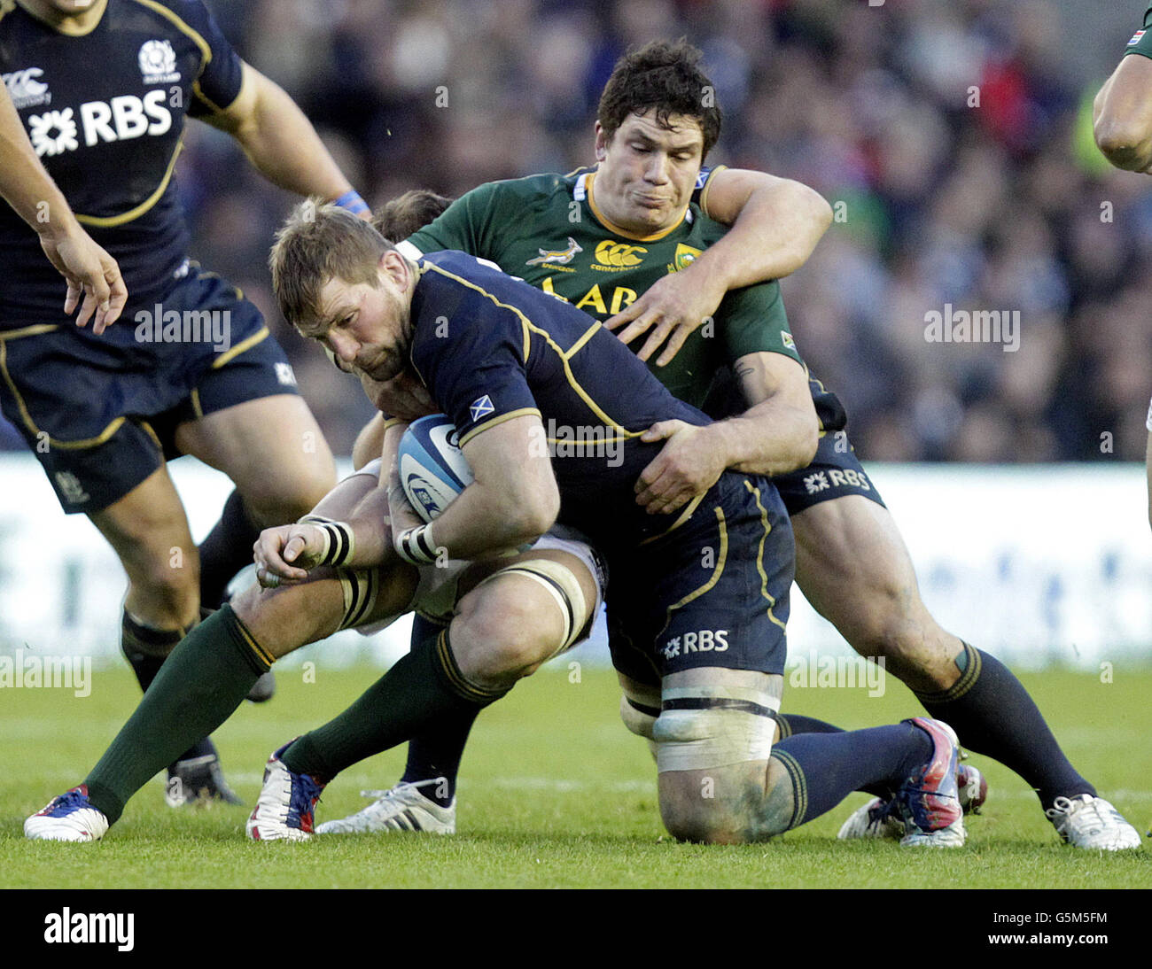 Scotland v south africa hi-res stock photography and images - Alamy