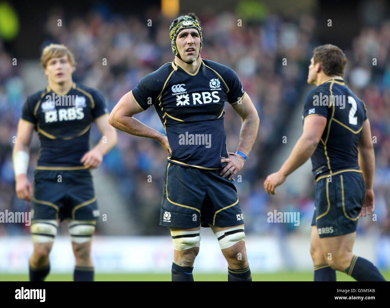 Scotlands kelly brown during the emc test at murrayfield hi-res stock ...