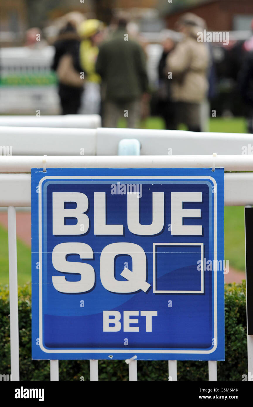 A general view of Blue Square bet signage at Lingfield Races in front ...