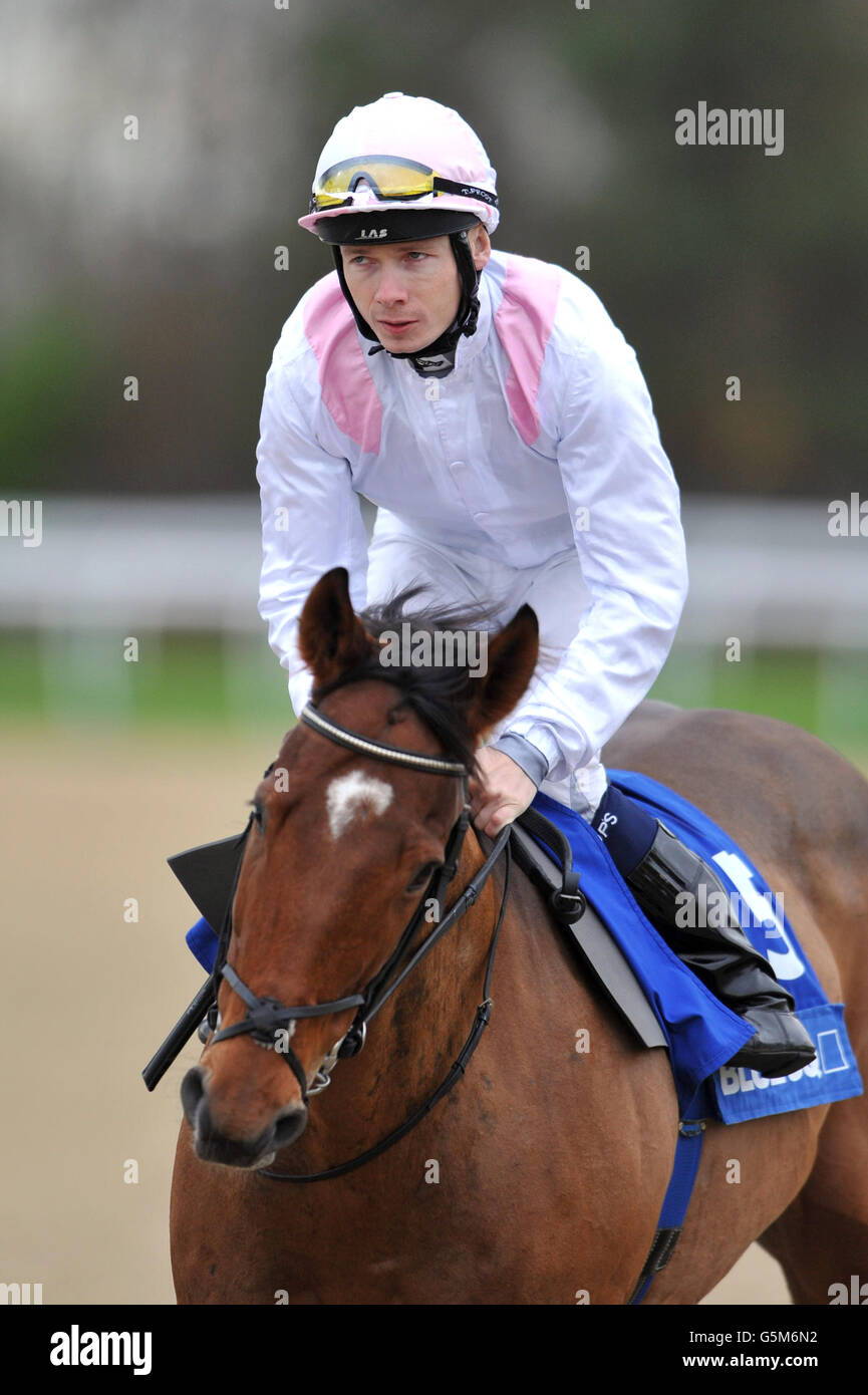 Jockey Jamie Spencer and Dandy Boy before the start of The Blue Square ...