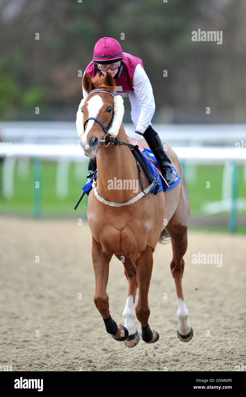 Horse Racing - Lingfield Racecourse. Jockey William Carson and Tinshu ...