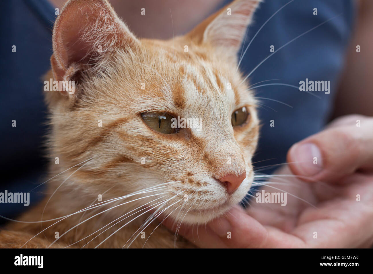 Man staring into distance hi-res stock photography and images - Alamy