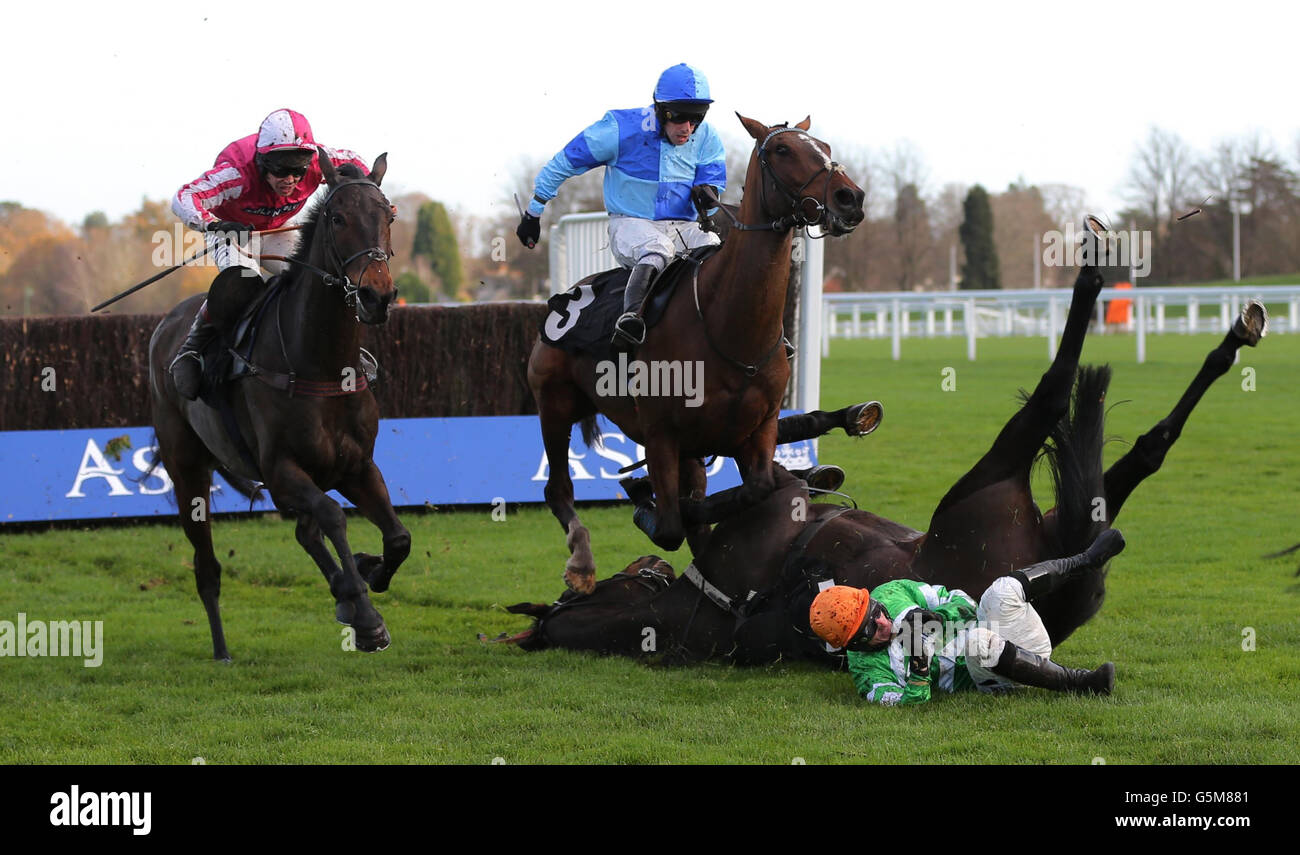 Jockey Darryl Jacobs has heavy fall on Shuil Royle as Henry Oliver on ...