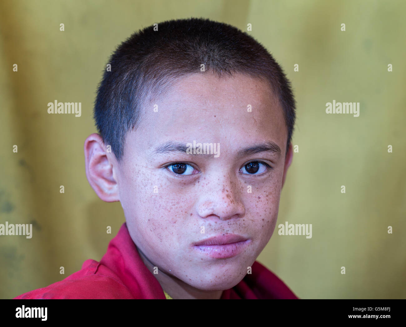 Nepal People Nepal Boy Monk Tibetan Monk High Resolution Stock ...
