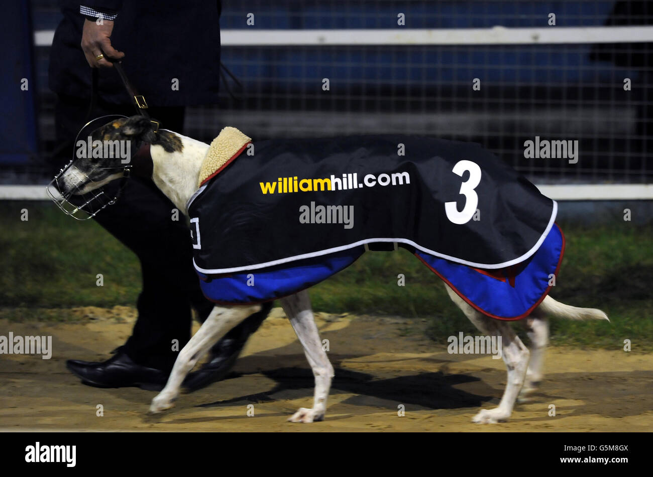 Greyhounds - Williamhill.com St Leger Final - Wimbledon Greyhound ...