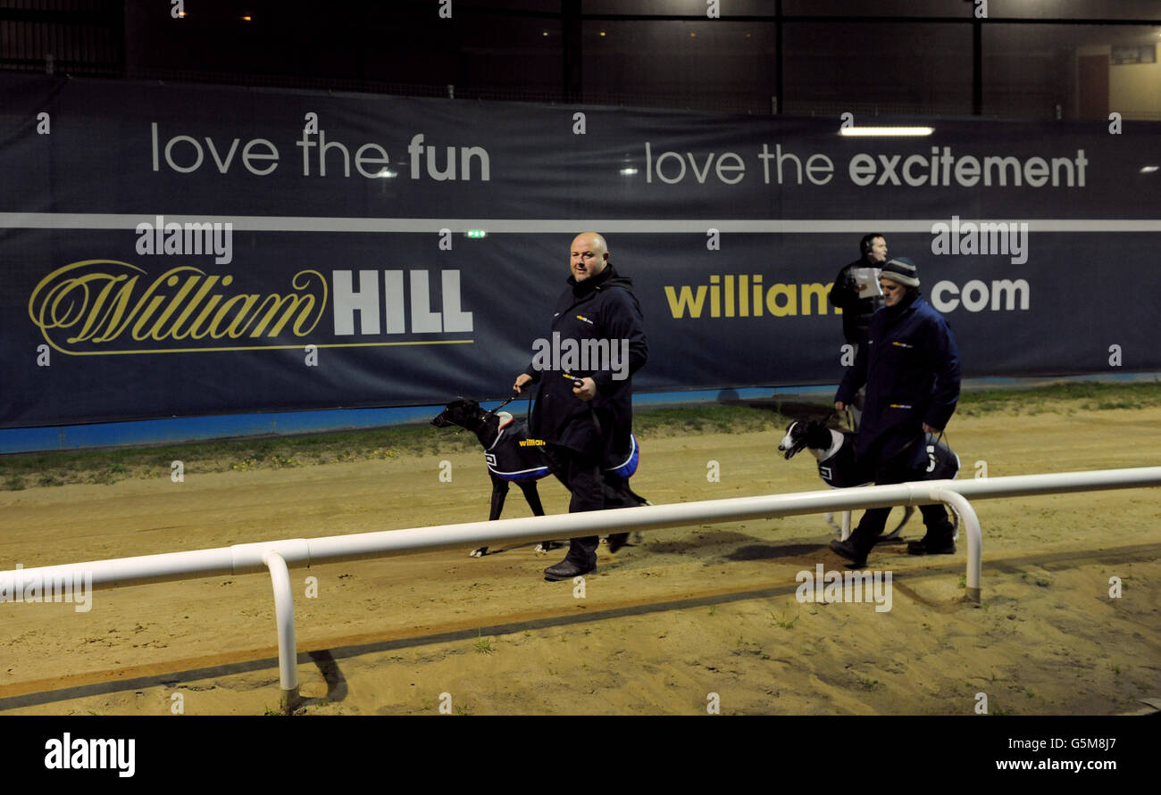 Greyhounds - Williamhill.com St Leger Final - Wimbledon Greyhound ...