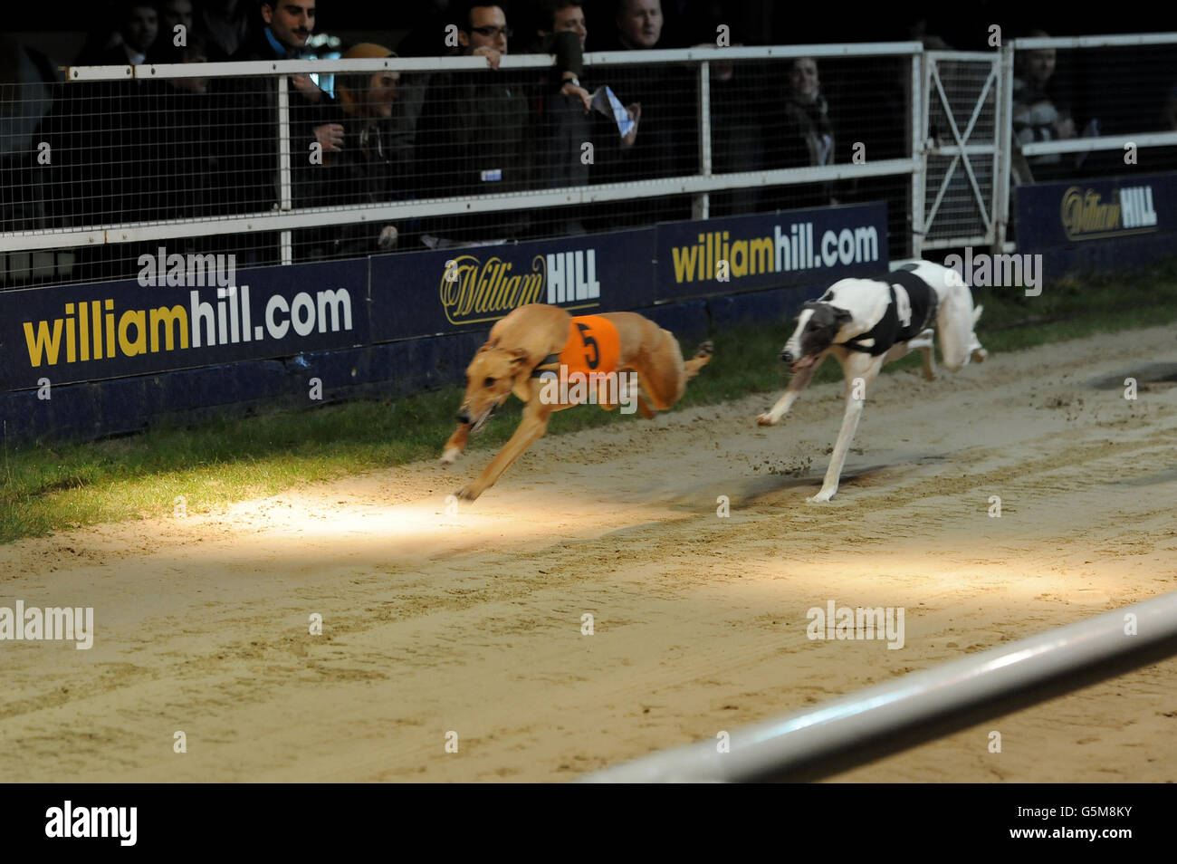 Greyhounds - Williamhill.com St Leger Final - Wimbledon Greyhound ...