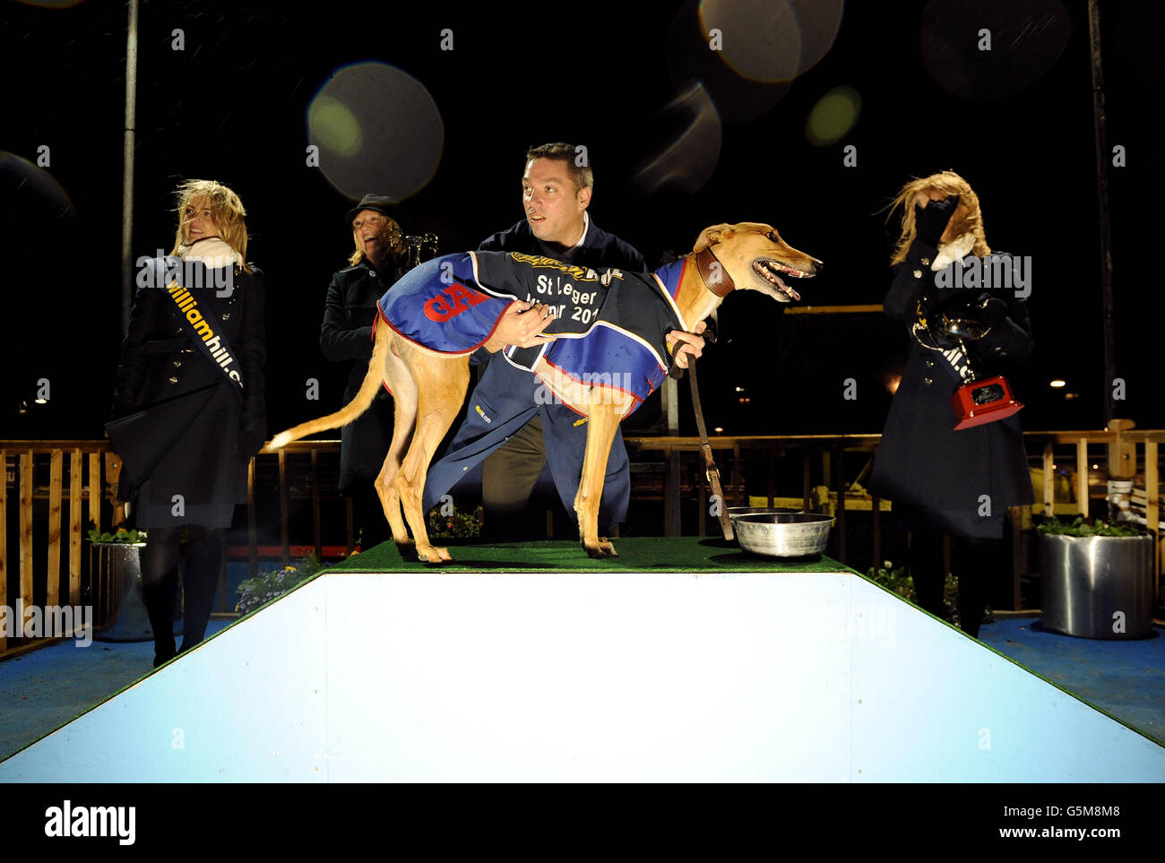 Greyhounds - Williamhill.com St Leger Final - Wimbledon Greyhound ...