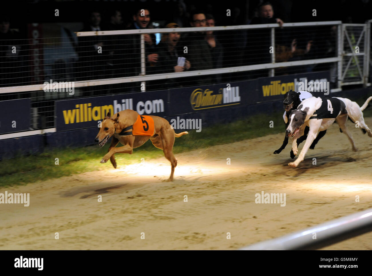 Greyhounds - Williamhill.com St Leger Final - Wimbledon Greyhound ...