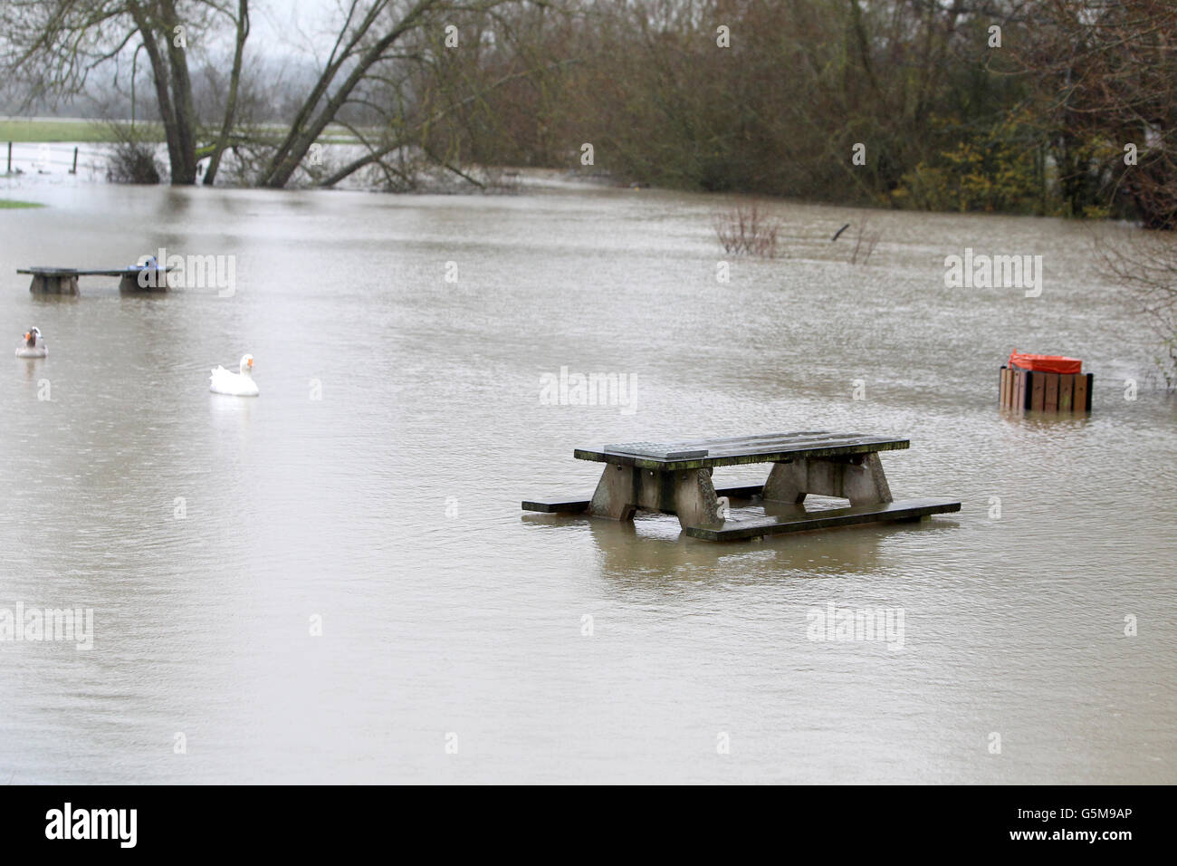 The flooded Port Meadow near Wolvercote, Oxfordshire where the River ...