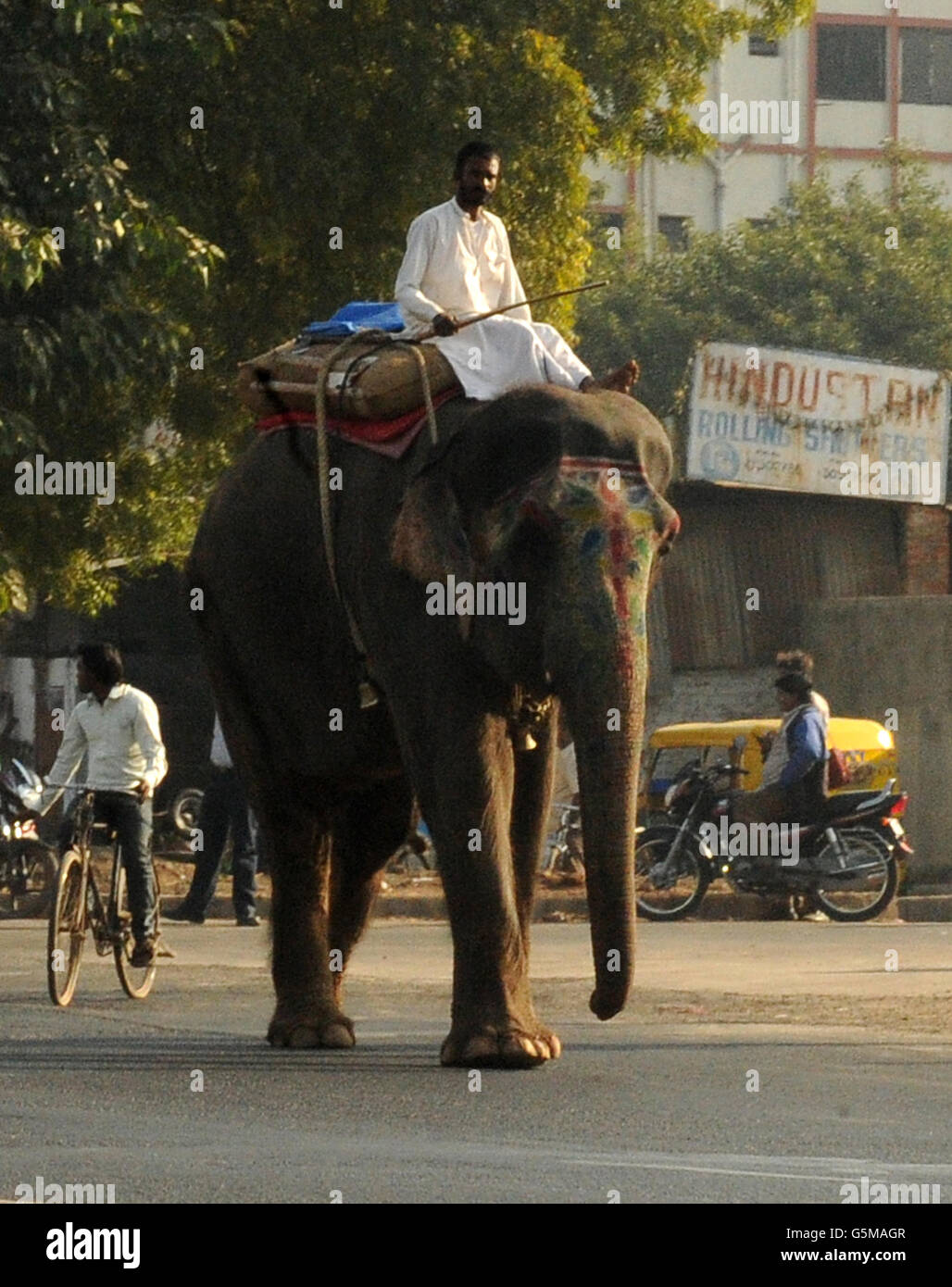 India man rides elephant hi-res stock photography and images - Alamy