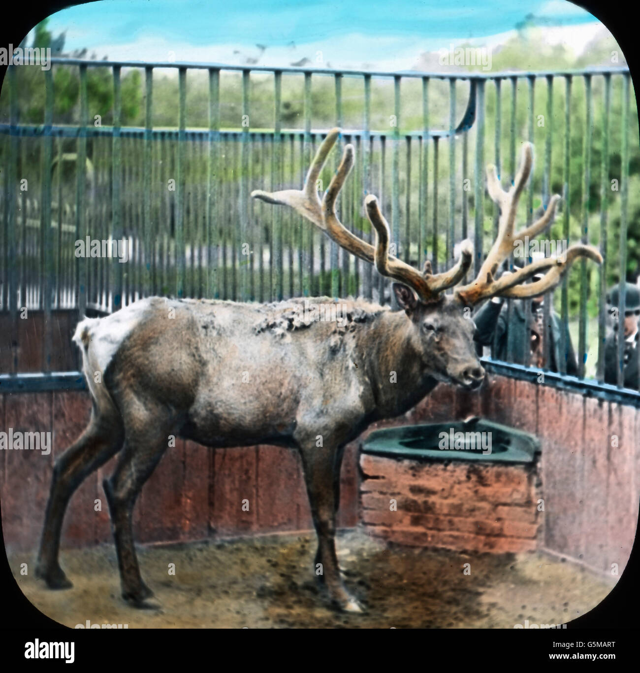 Zoo archiv hi-res stock photography and images - Alamy