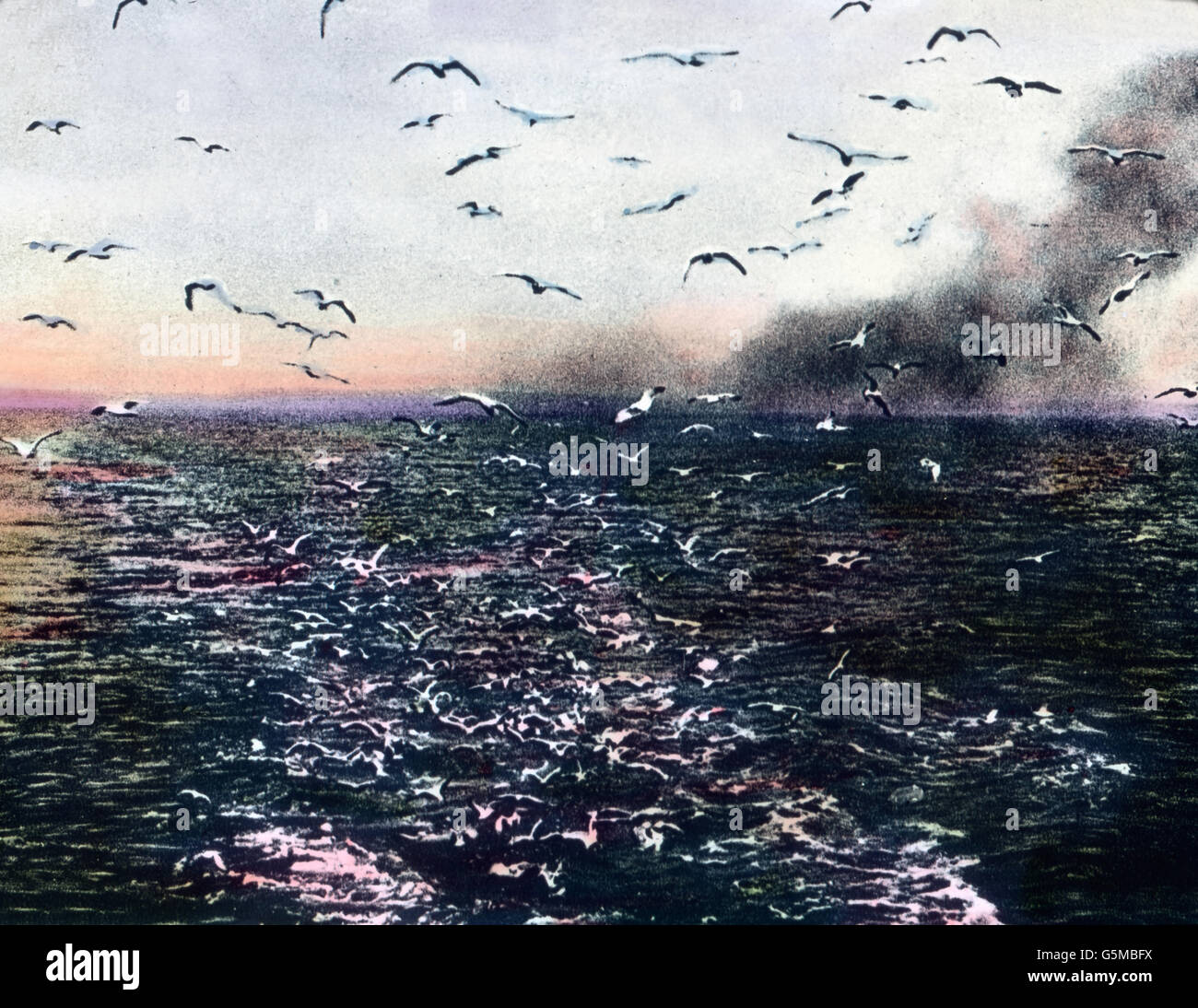 über dem ozean hi-res stock photography and images - Alamy