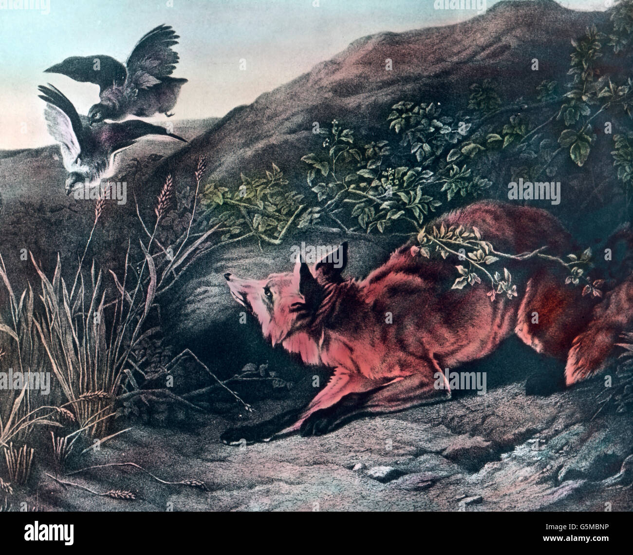 Simon fuchs hi-res stock photography and images - Alamy