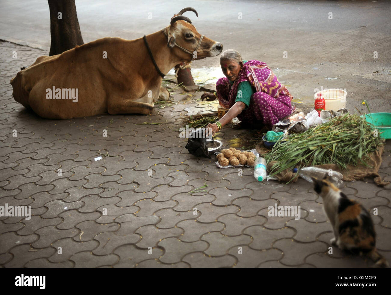 India Daily Life Stock Photo - Alamy