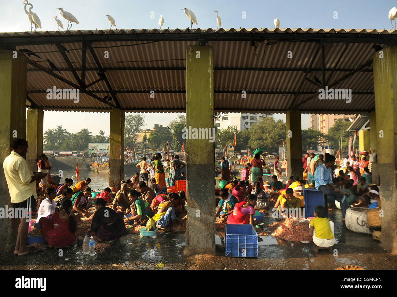 India Daily Life Stock Photo - Alamy