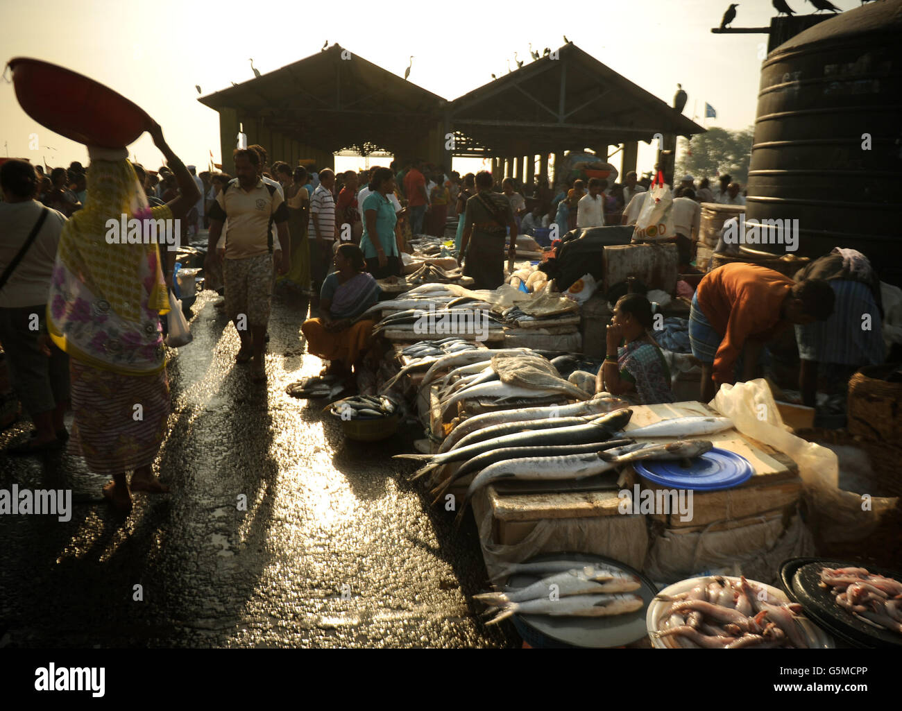 India Daily Life Stock Photo - Alamy