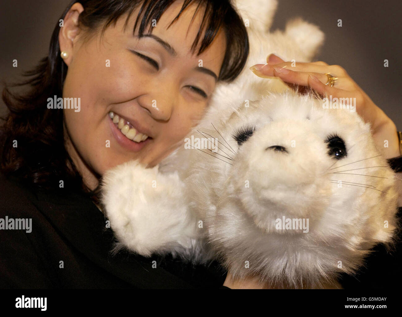 Which responds to sounds and touch hi-res stock photography and images ...