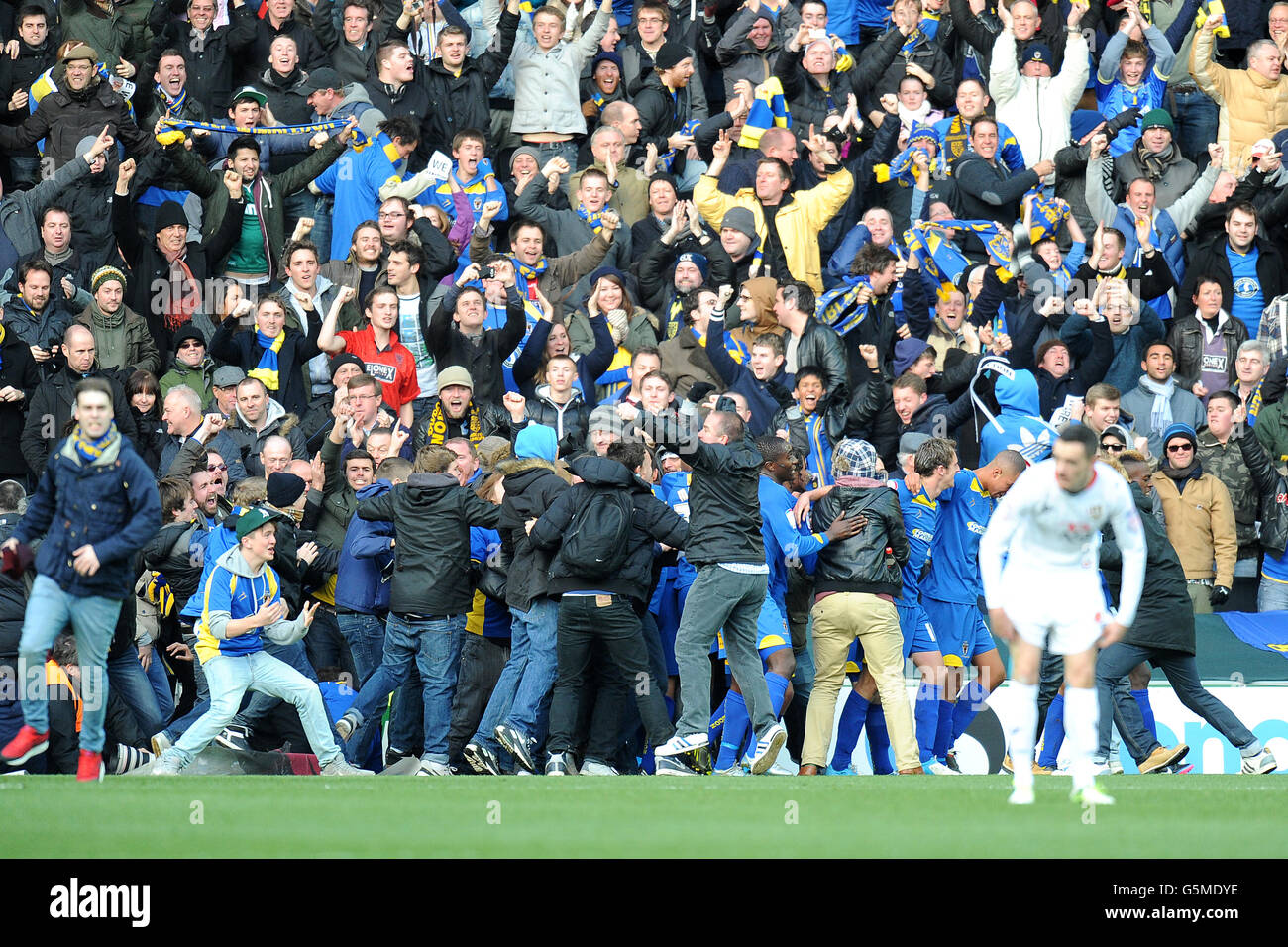 Soccer football crowd fans spectators celebrate celebration full length ...