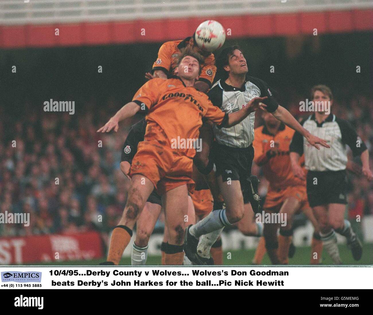 Don goodman wolves hi-res stock photography and images - Alamy