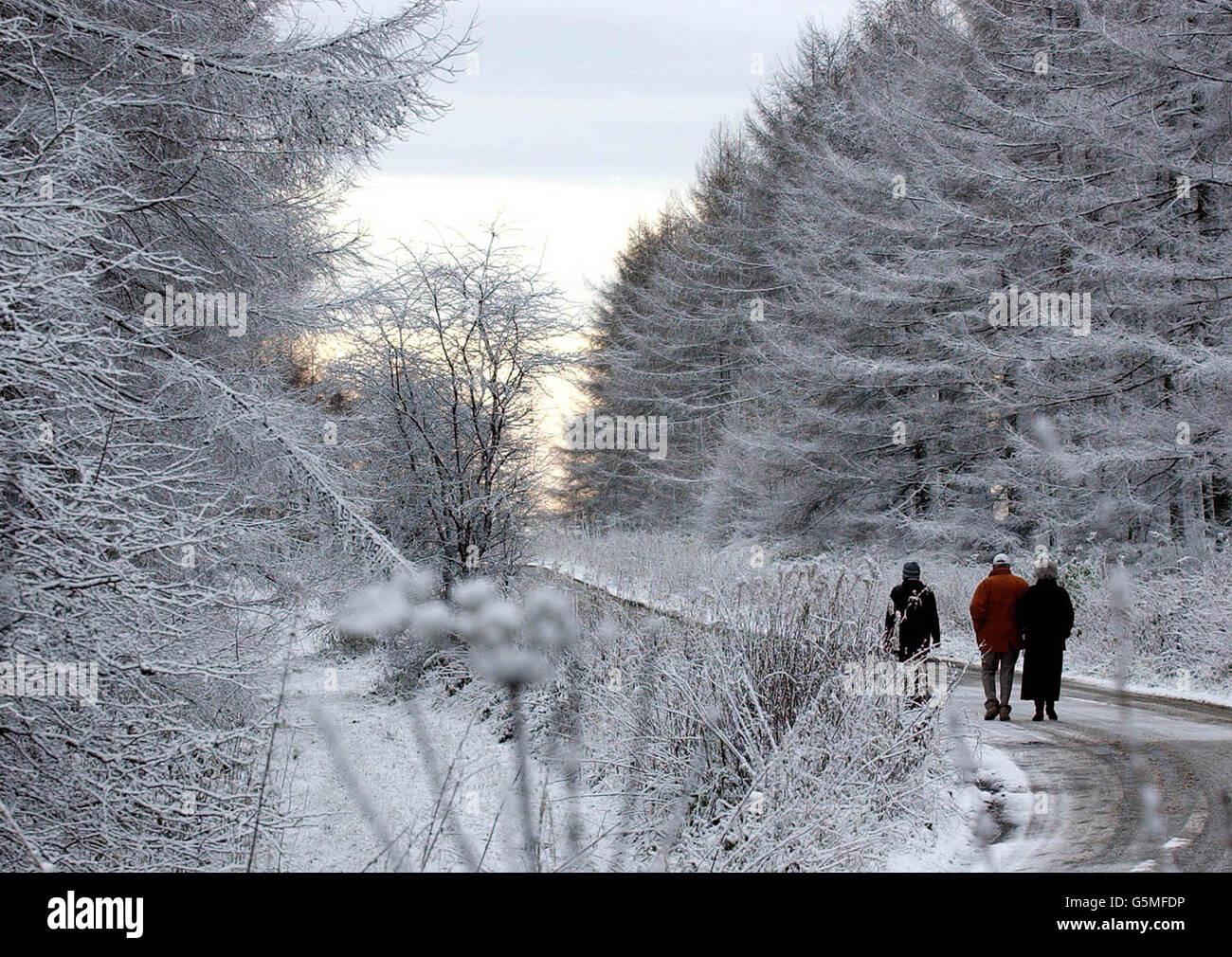 Chances of a white Christmas for Eastern England as overnight snow left ...