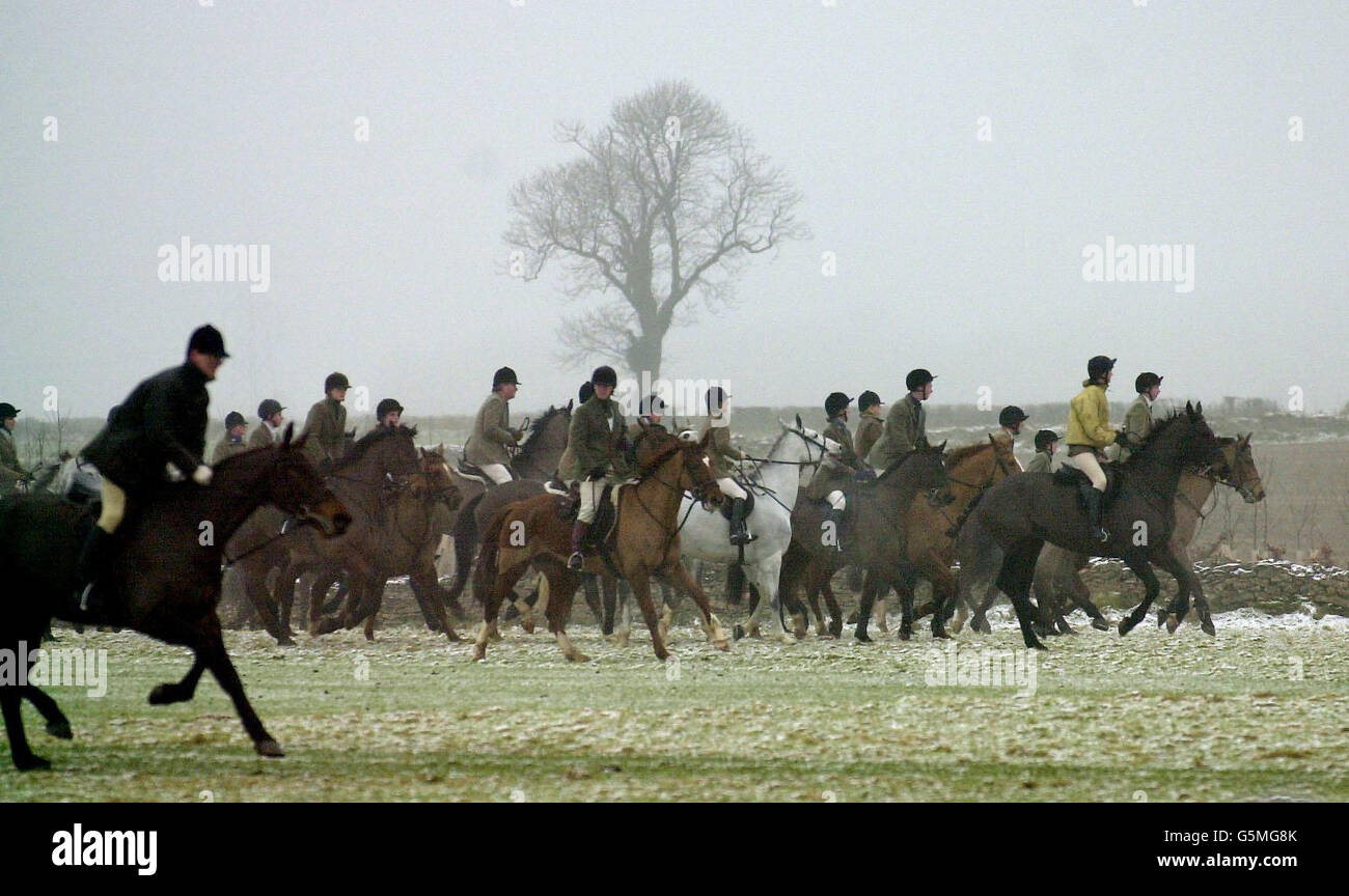 Fox hunting after foot and mouth hi-res stock photography and images ...