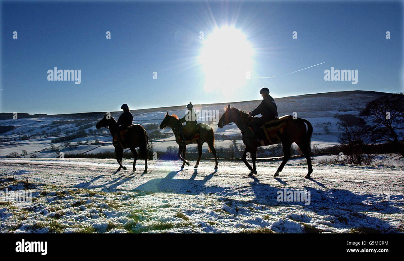 Turf conditions hi-res stock photography and images - Alamy
