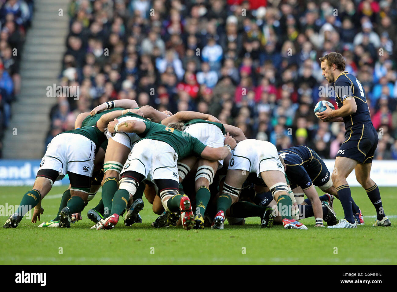 Put in scrum rugby hi-res stock photography and images - Alamy