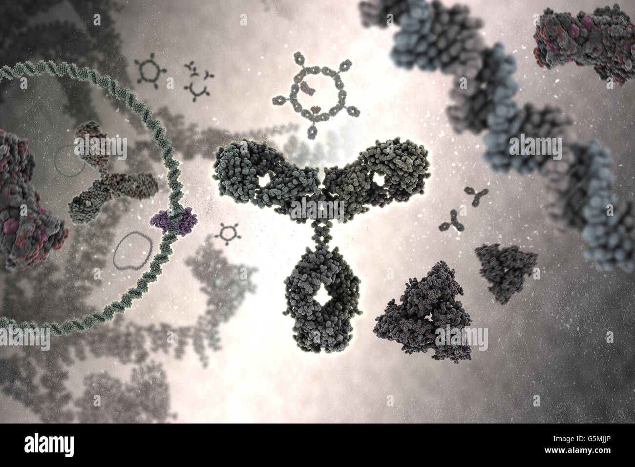 Antibody a.k.a. Immunoglobulin G (IgG) is a Y-shaped protein and part ...