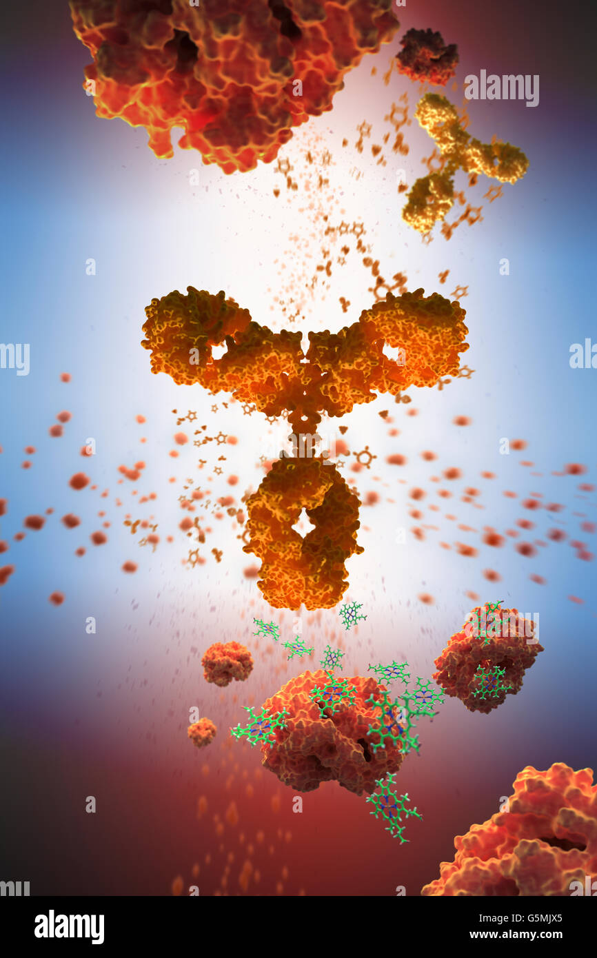Antibody a.k.a. Immunoglobulin G (IgG) is a Y-shaped protein and part ...