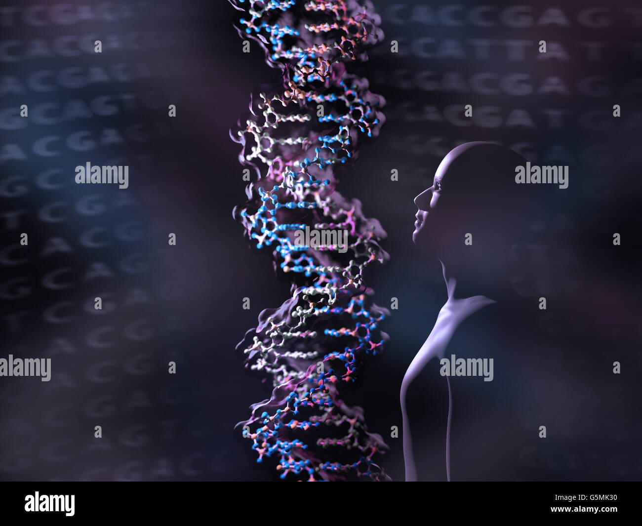 Detail of a DNA double helix molecule. DNA (deoxyribonucleic acid) is a ...
