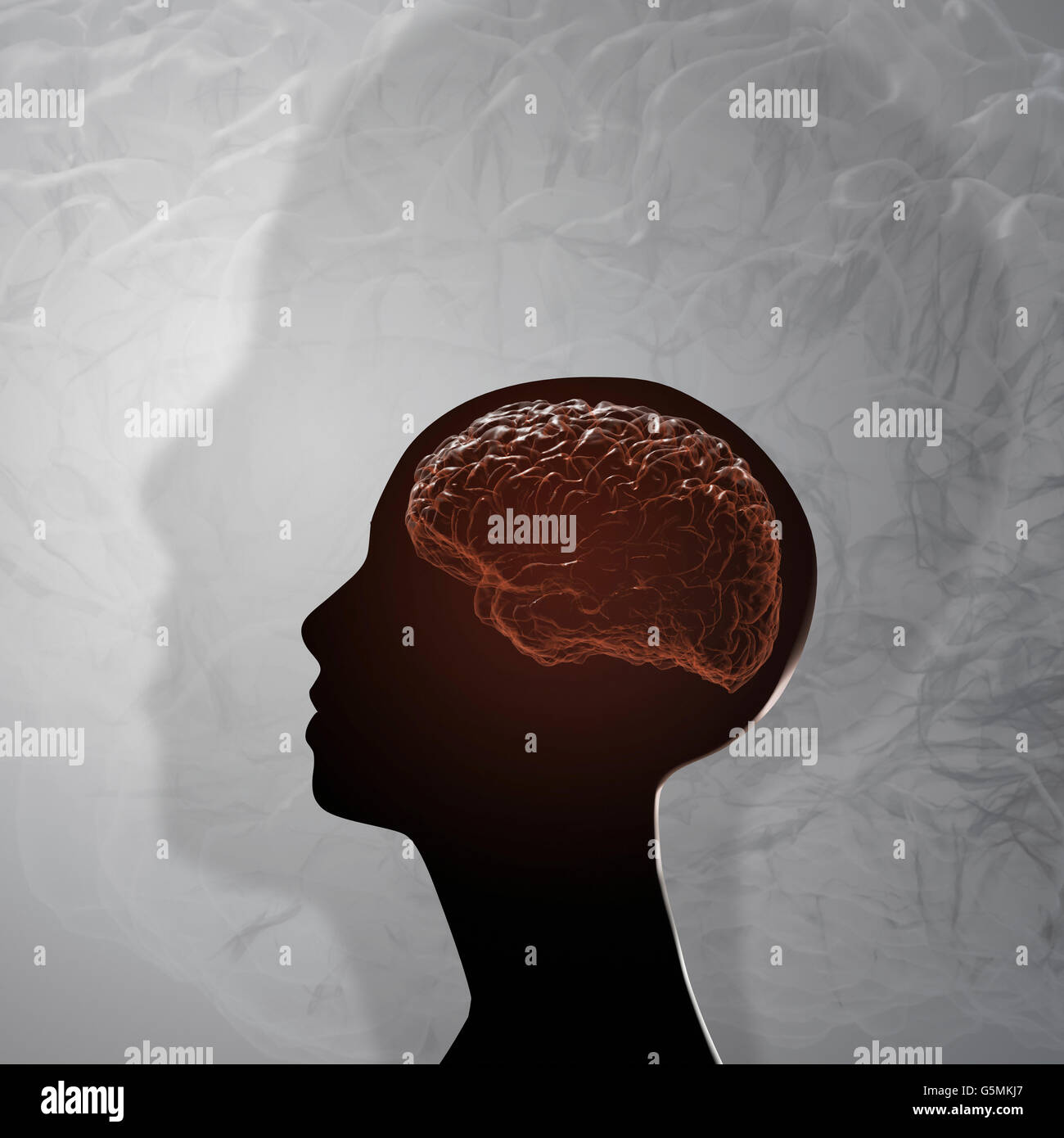 The human brain. Projection of the cerebral cortex Stock Photo - Alamy