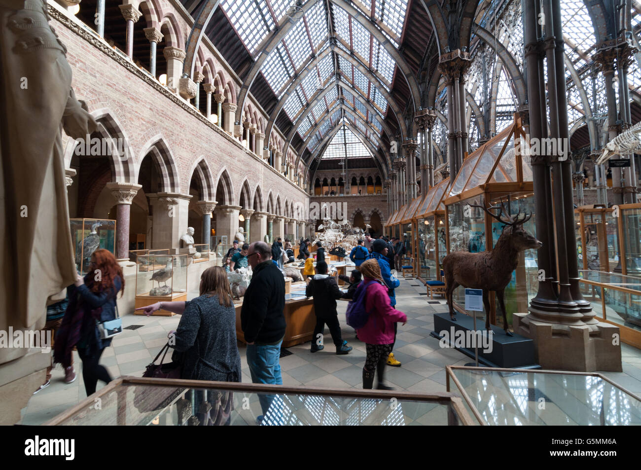 Oxford Museum Stock Photos & Oxford Museum Stock Images - Alamy