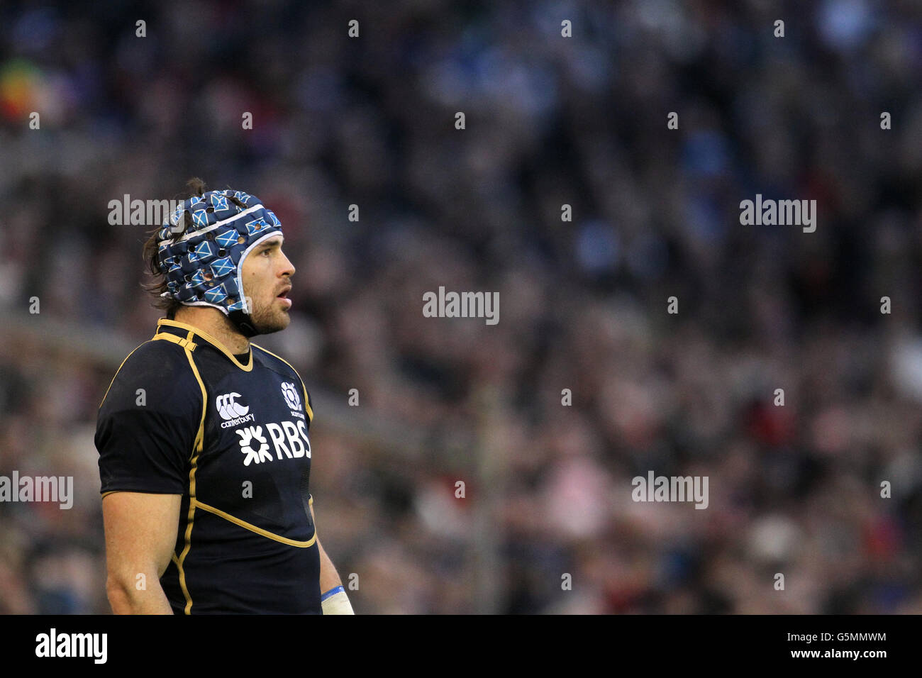 Rugby Union - EMC Test - Scotland v Tonga - Pittodrie Stadium Stock ...