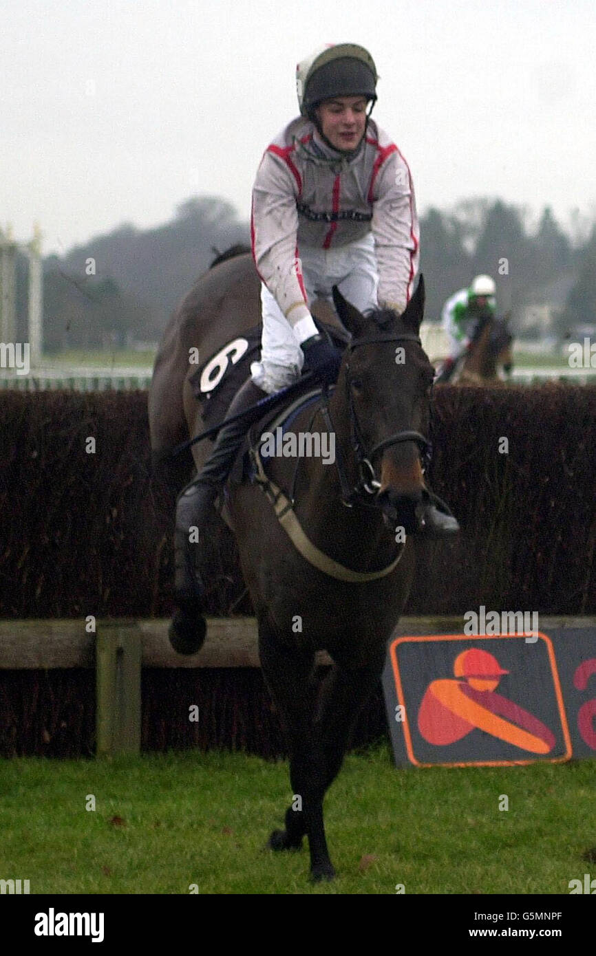 Peccadillo hi-res stock photography and images - Alamy