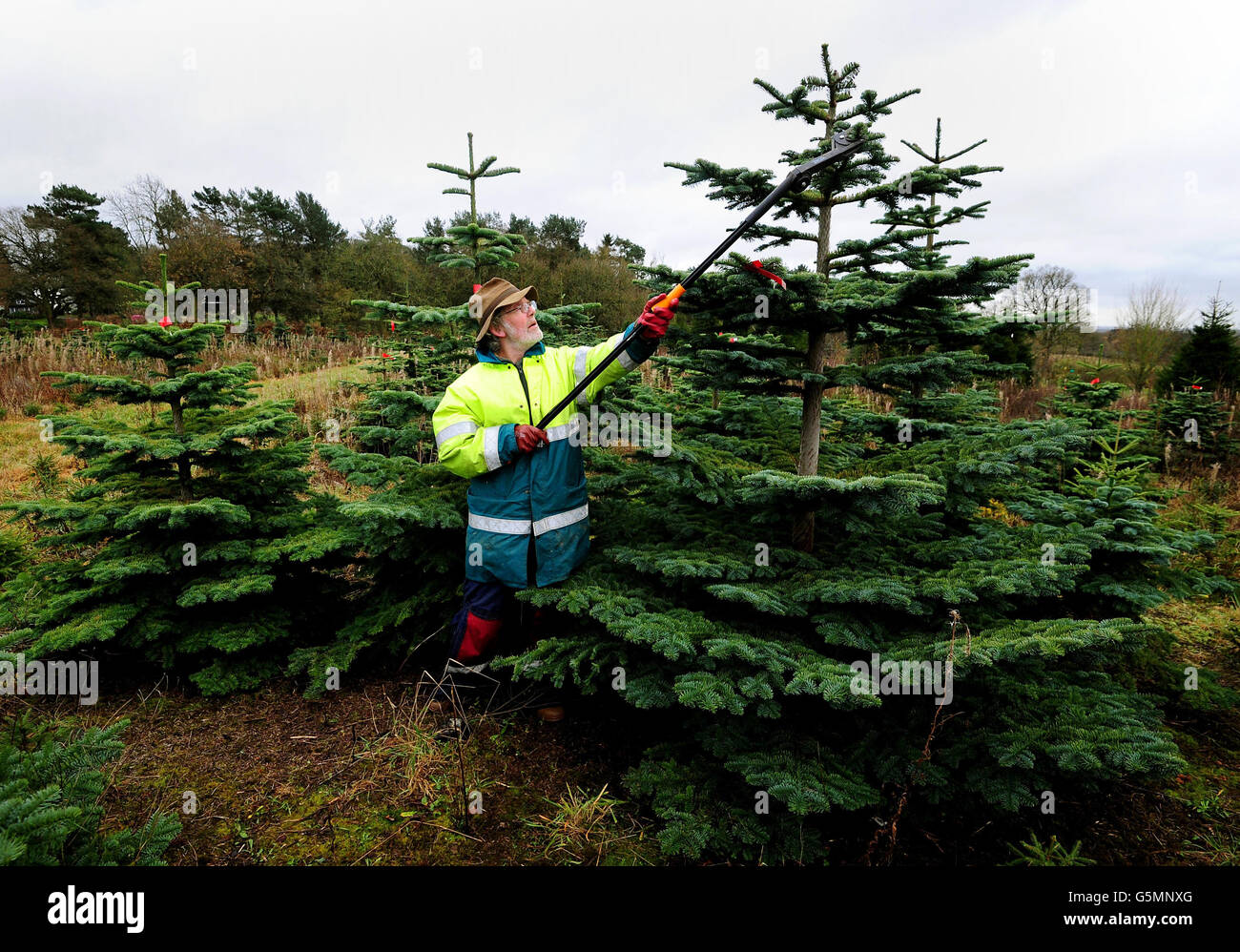 Manager geoff hi-res stock photography and images - Alamy