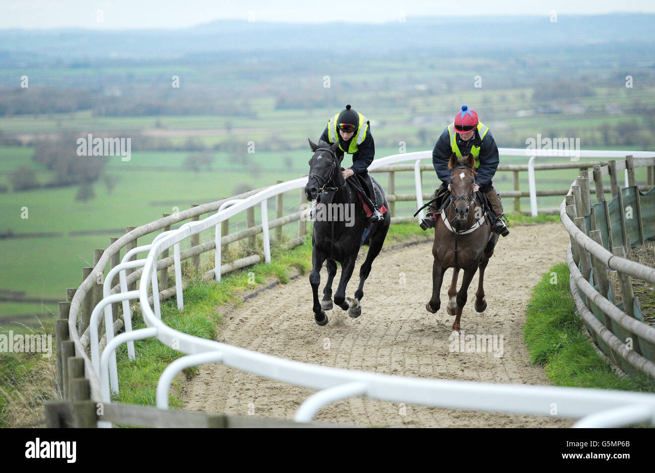 Sanctuaire at paul nicholls at manor farm stables in ditcheat hi-res ...