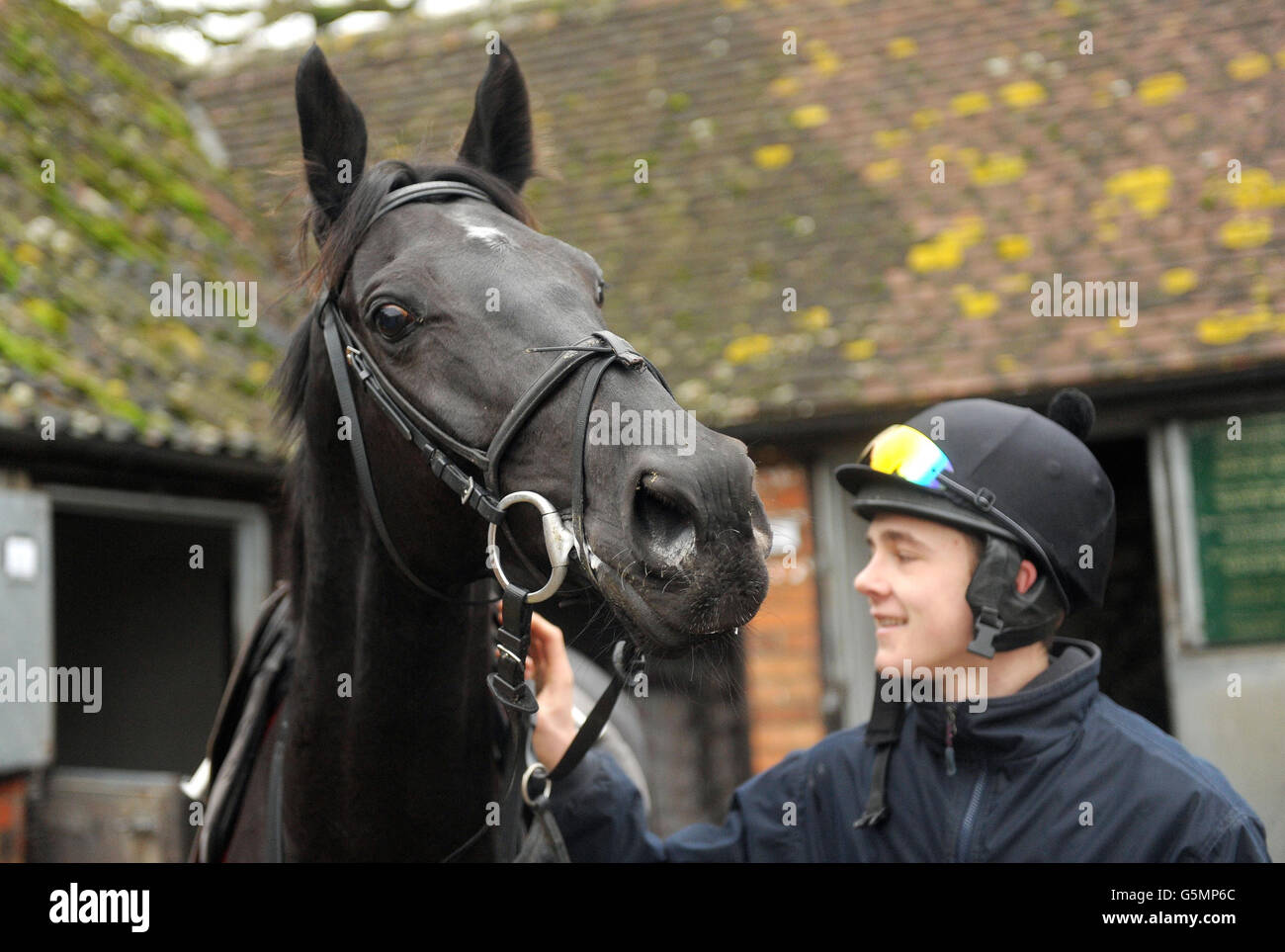 Horse racing paul nicholls stable visit manor farm stables hi-res stock ...